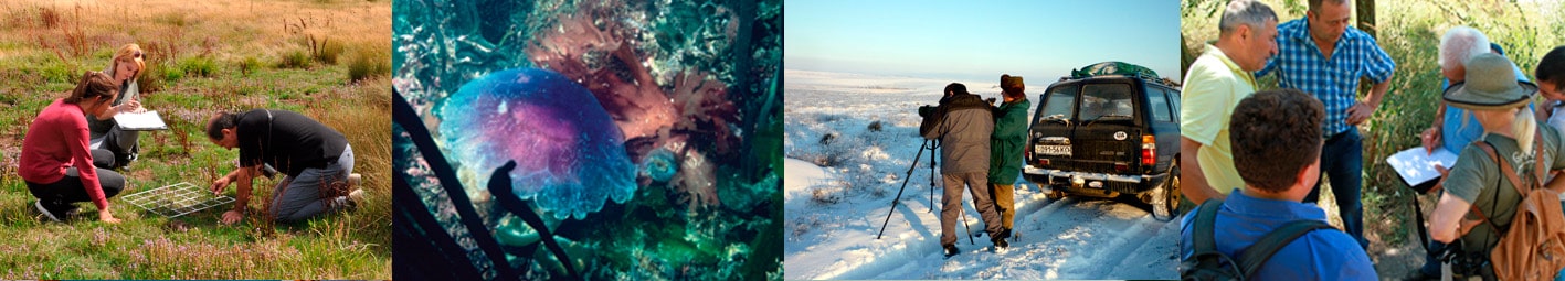 Naturebureau ecology and design and print services naturebureau.co.uk