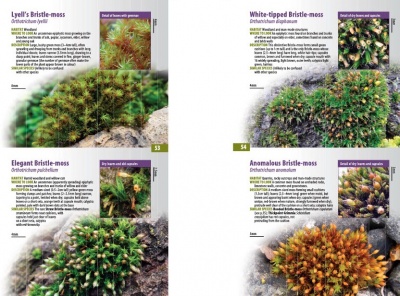 A Guide to Finding MOSSES in Berkshire, Buckinghamshire and Oxfordshire ...