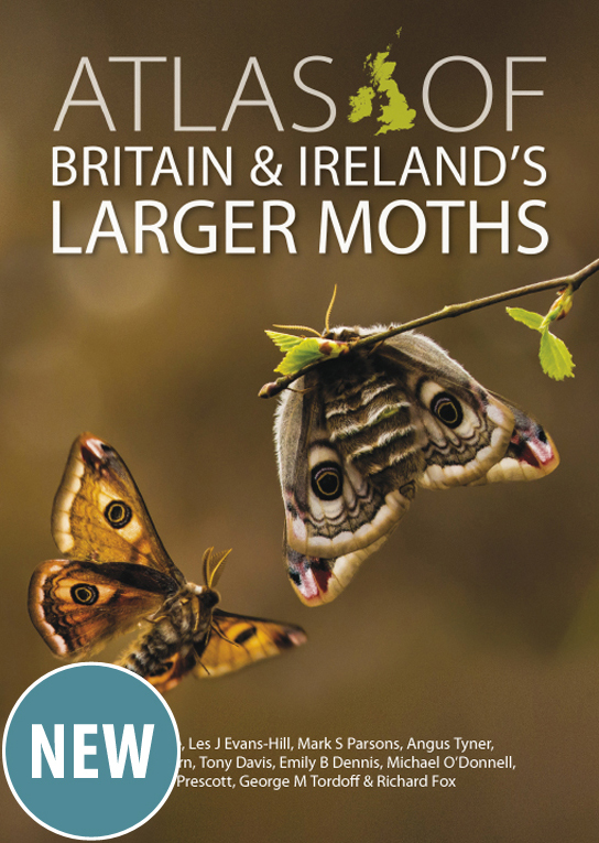 Atlas of Britain & Ireland's Larger Moths naturebureau.co.uk