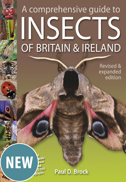 A Comprehensive Guide to Insects of Britain & Ireland new and revised ...