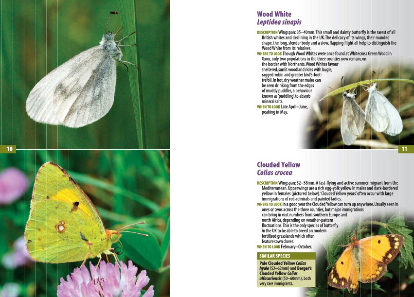 A Guide to Finding Butterflies and Day-flying Moths in Berks, Bucks and ...