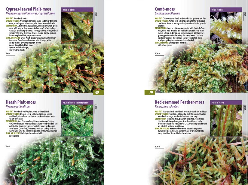 A Guide to Finding MOSSES in Berkshire, Buckinghamshire and Oxfordshire ...