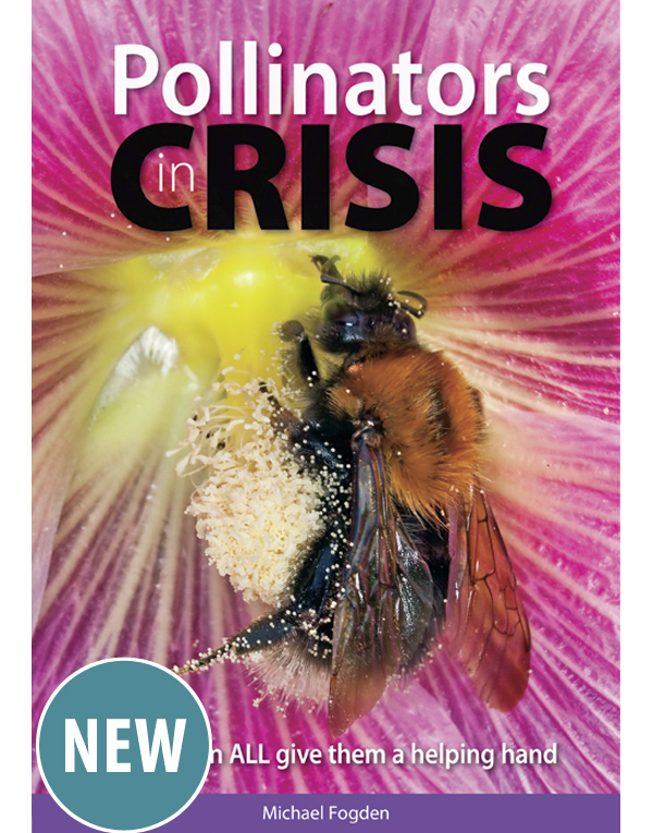 Pollinators in Crisis naturebureau.co.uk