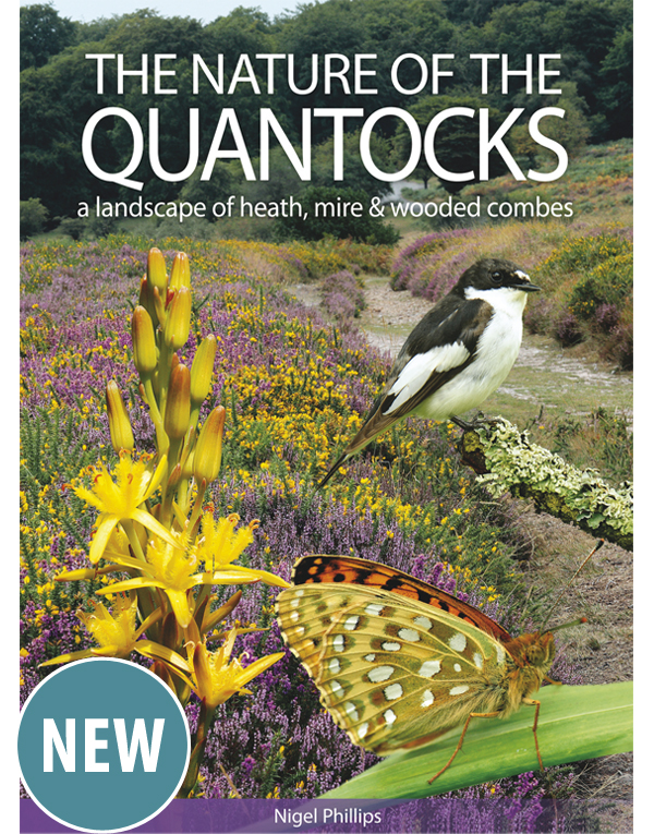 The Nature of the Quantocks naturebureau.co.uk