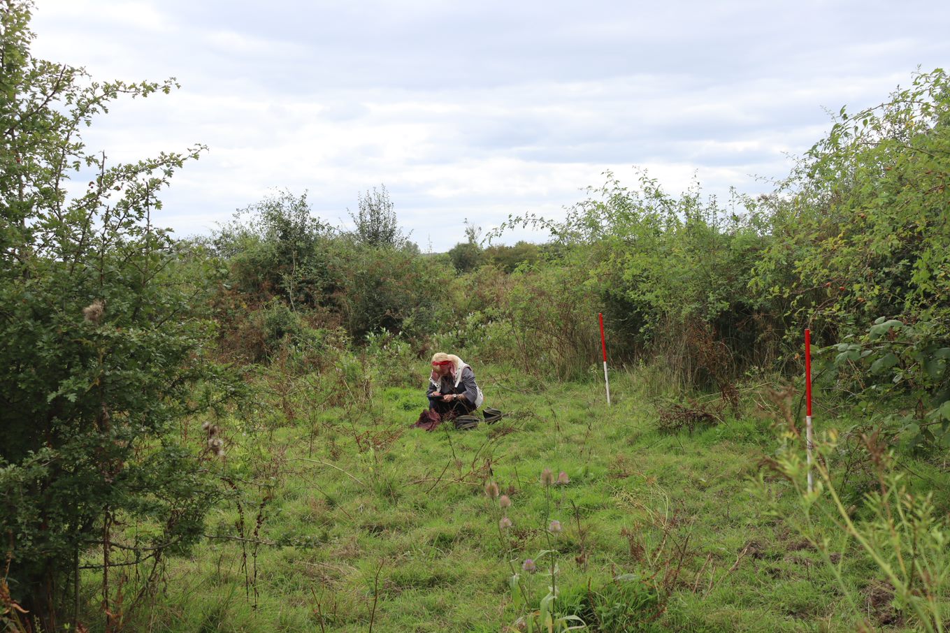 HABITAT SURVEYS naturebureau.co.uk